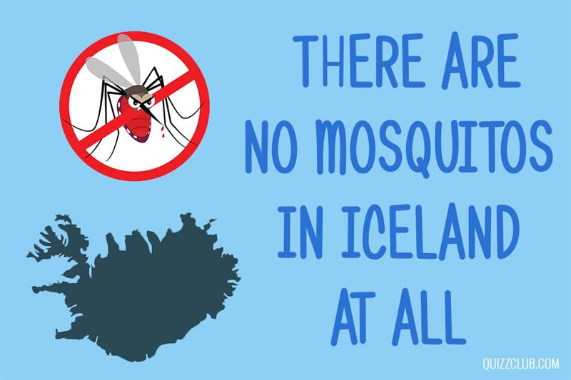 The Most Interesting Random Facts You Didn t QuizzClub