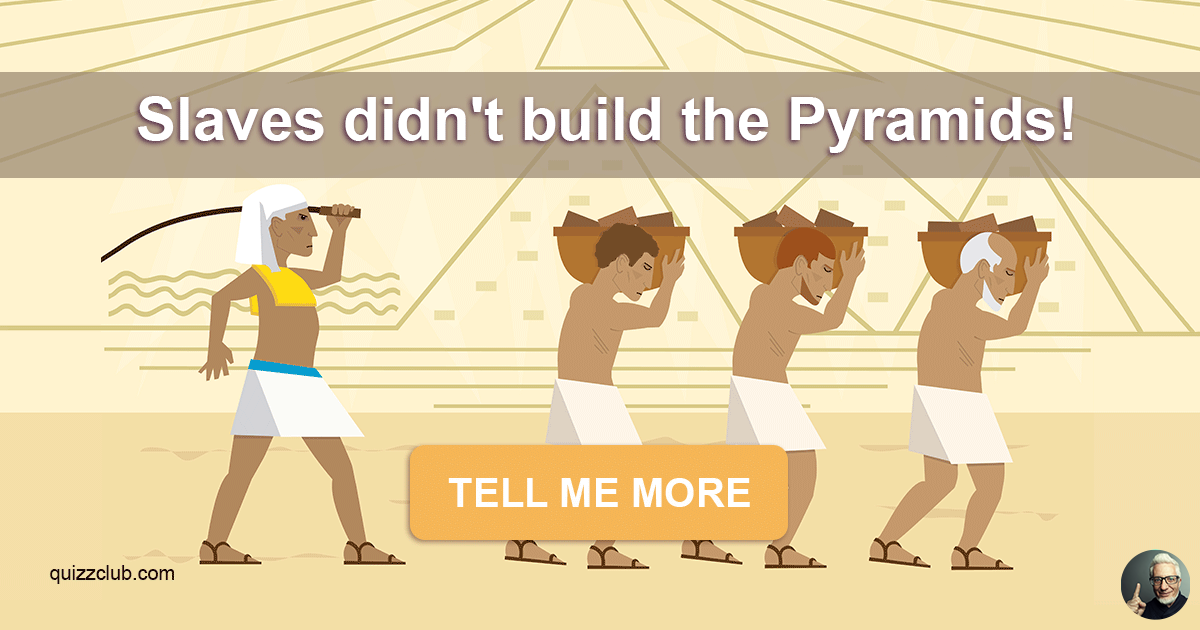 20 absurd facts that in reality are absolutely... | QuizzClub