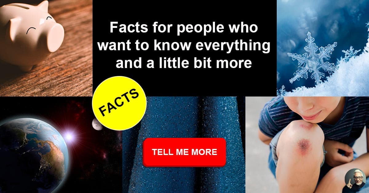 Facts for people who want to know everything... | QuizzClub
