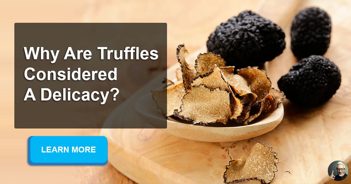 What exactly is a truffle and why is it so... | QuizzClub