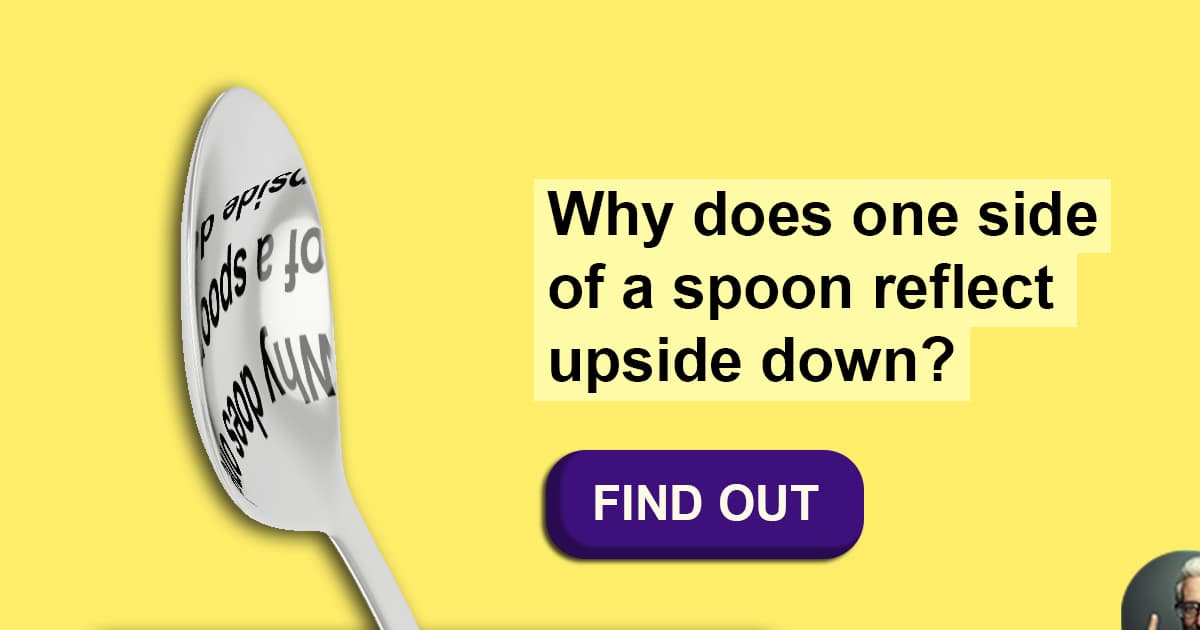 Why is your reflection upside down in a spoon? | QuizzClub