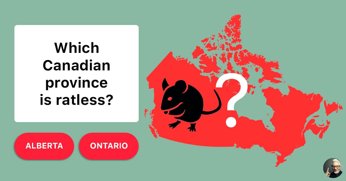 Why there are no rats in some Canadian provinces? | QuizzClub