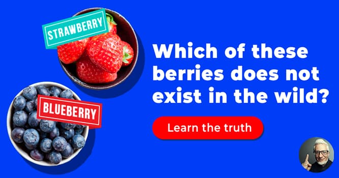 7 yummy facts every foodie must know | QuizzClub