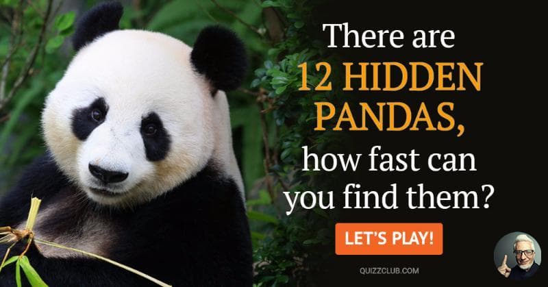 There Are 12 Hidden Pandas, How Fast... | Poll | QuizzClub
