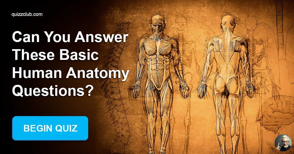 Can You Answer These Basic Human... | Trivia Quiz | QuizzClub
