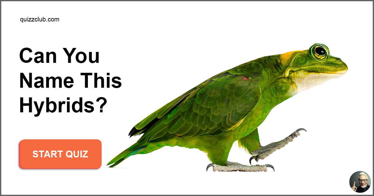 Do You Know These Hybrids? | Personality Test | QuizzClub