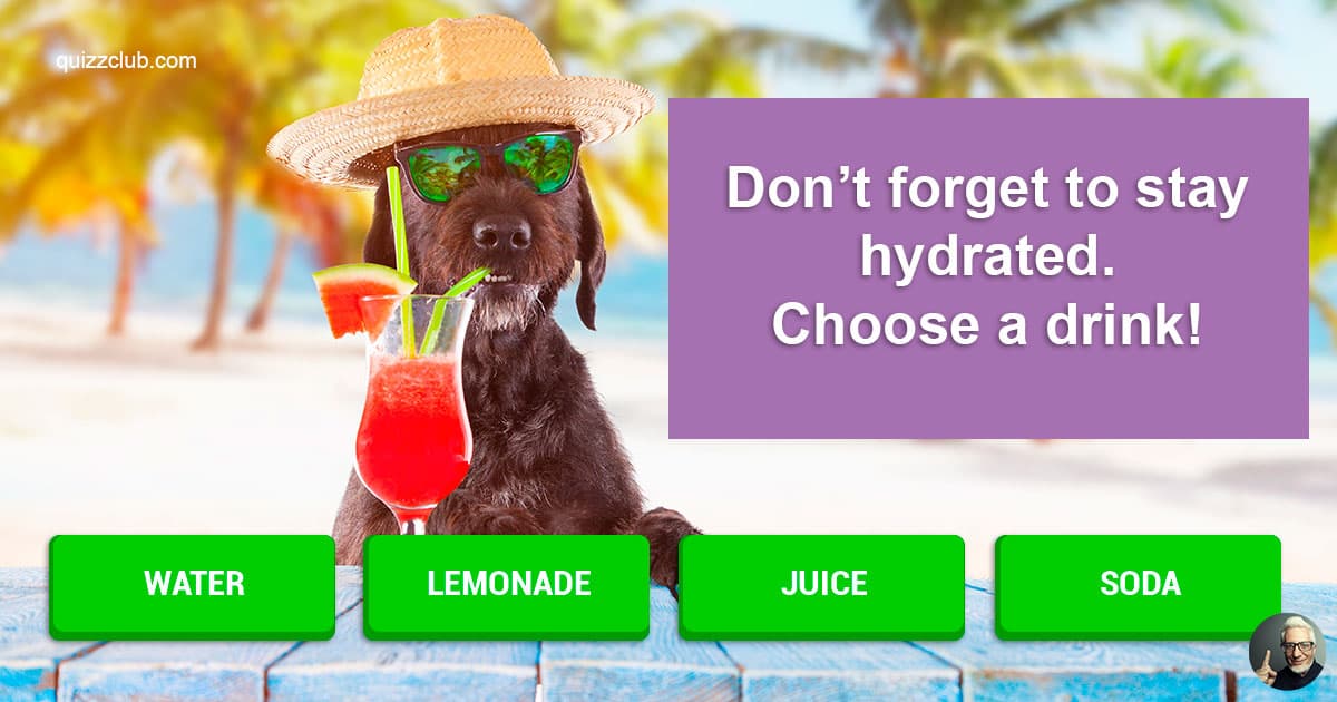 Choose Your Favorite Summer Foods... | Personality Test | QuizzClub