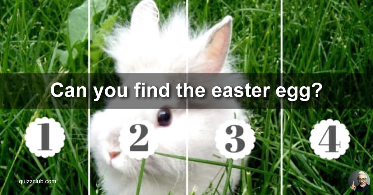Can You Find The Easter Egg We've... | Trivia Quiz | QuizzClub