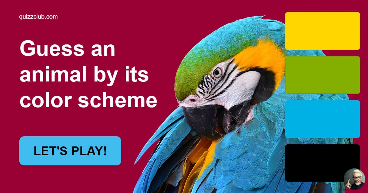 Can You Recognize The Animal By Its... | Trivia Quiz | QuizzClub