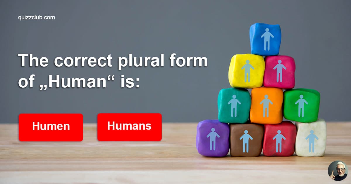 This Elementary Plural Forms Test Is... | Trivia Quiz | QuizzClub