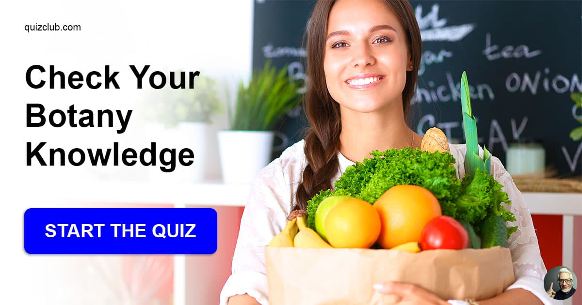 Is It A Fruit Or A Vegetable? Check... | Trivia Quiz | QuizzClub