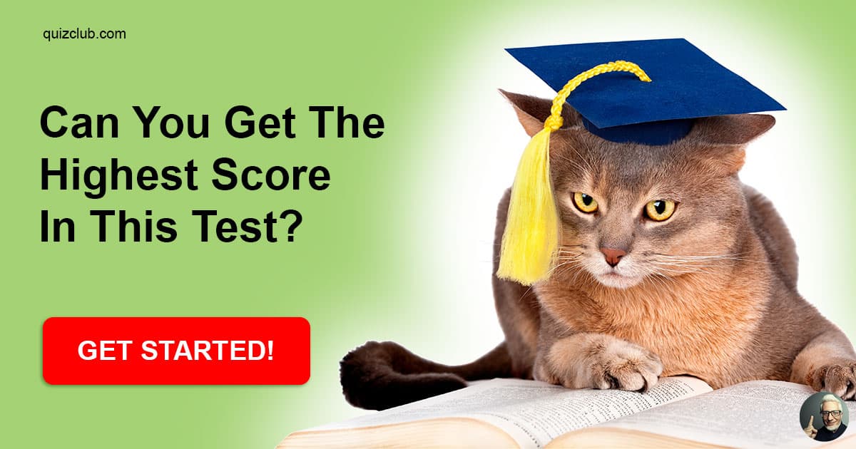 Can You Get The Highest Score In... | Trivia Quiz | QuizzClub