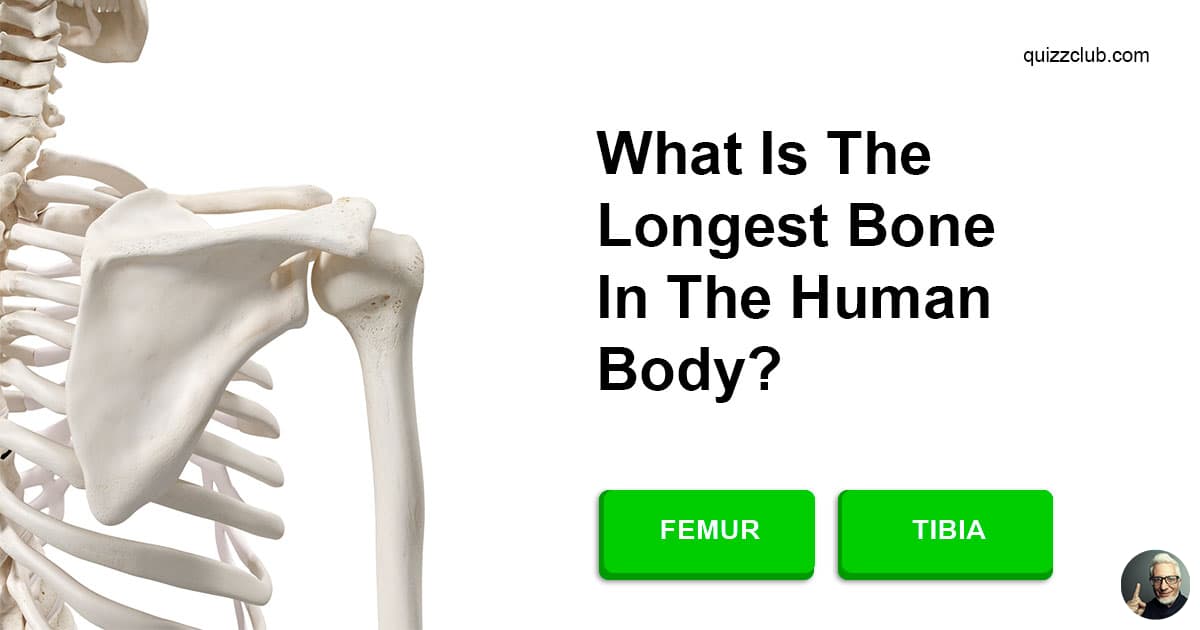 Try To Get A Perfect Score In This... | Trivia Quiz | QuizzClub