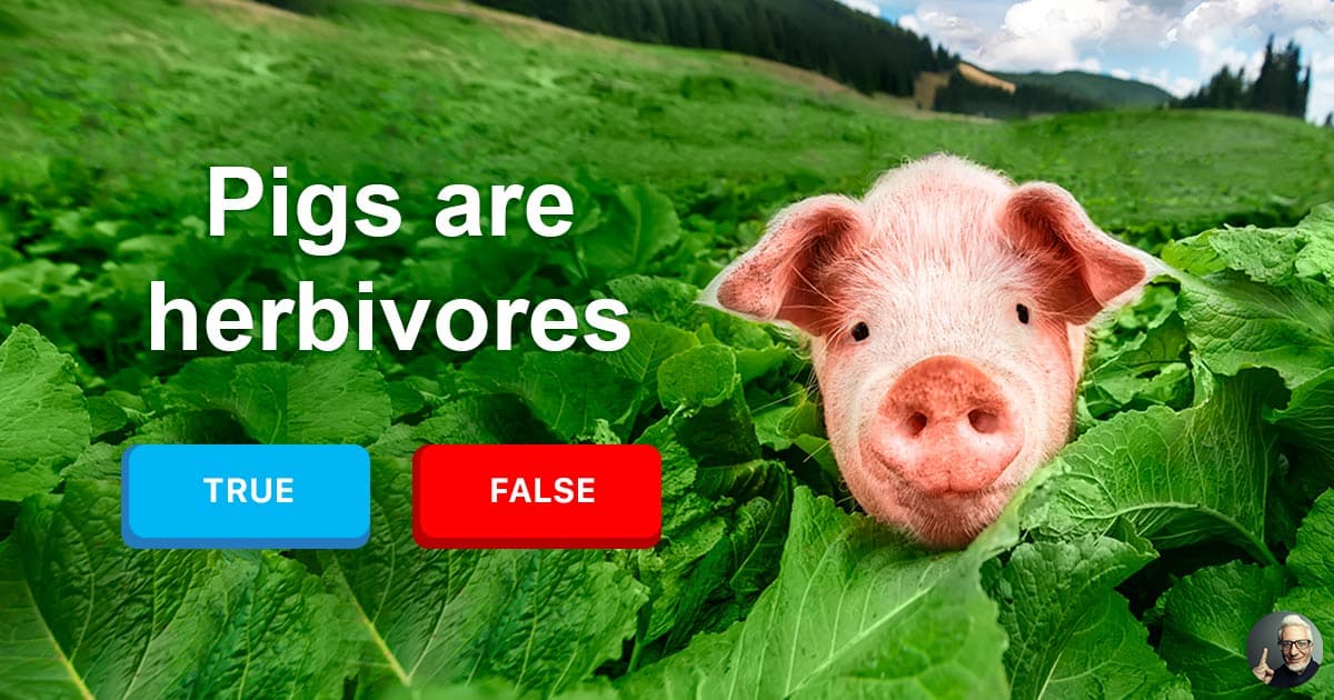 can-you-get-a-perfect-score-on-this-trivia-quiz-quizzclub