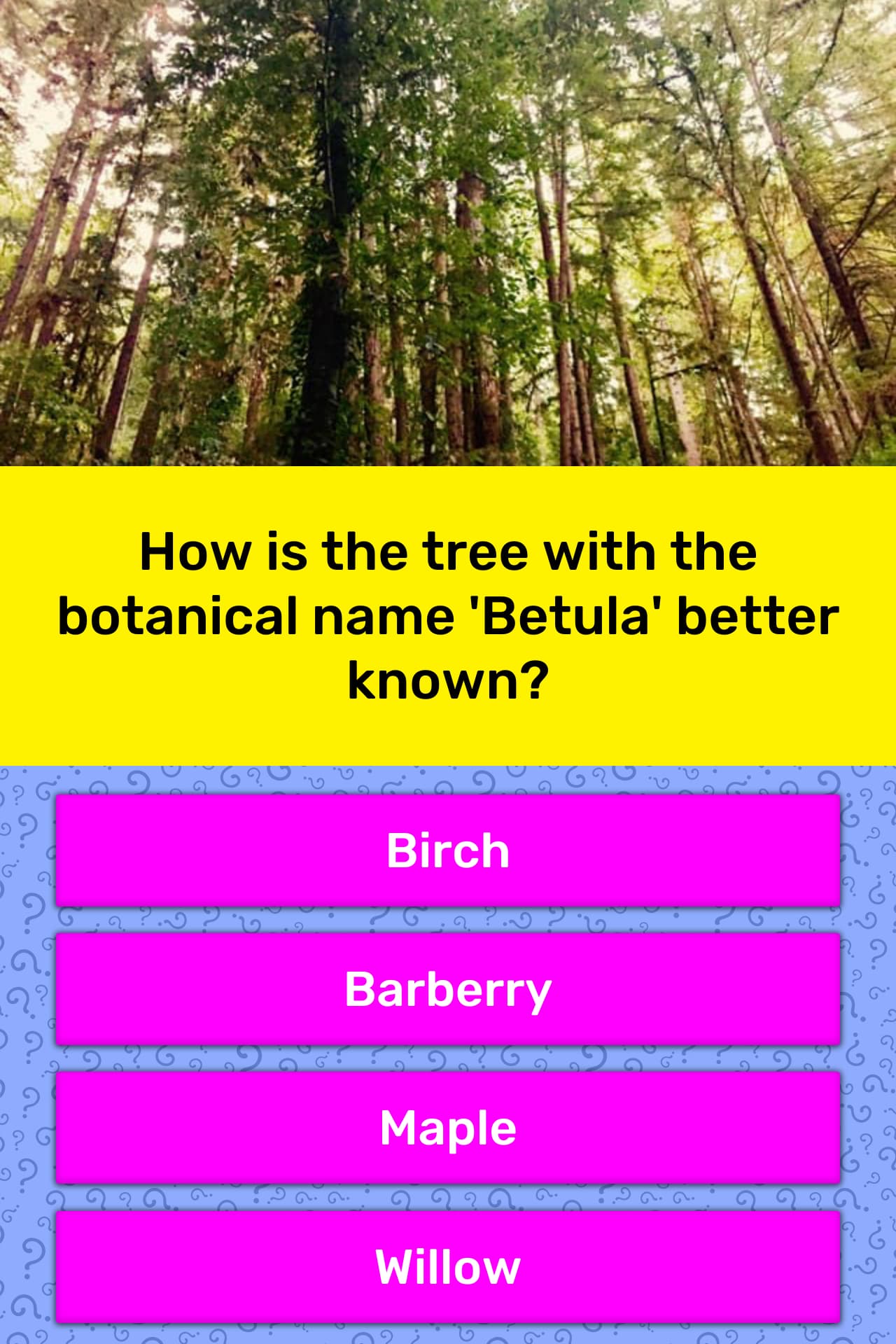 How Is The Tree With The Botanical Trivia Questions QuizzClub how-is-the-tree-with-the-botanical-trivia-questions-quizzclub