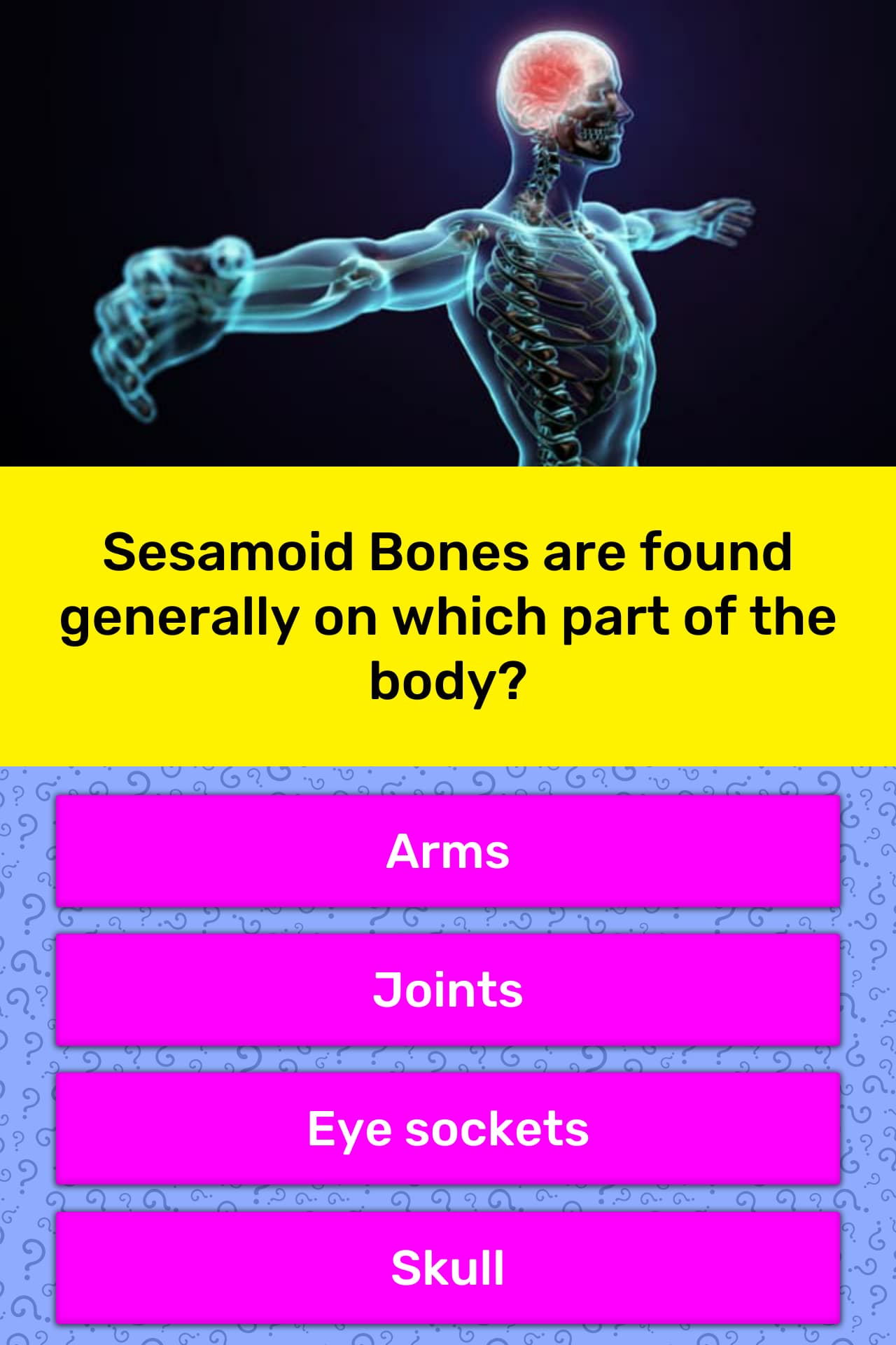where-are-the-sesamoid-bones-located-trivia-answers-quizzclub