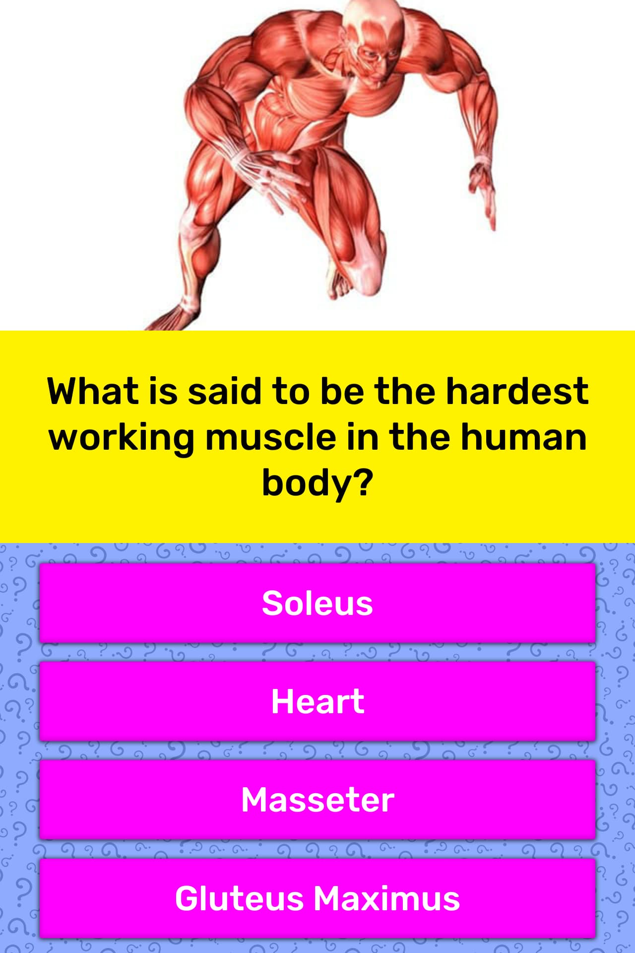 what-is-said-to-be-the-hardest-trivia-questions-quizzclub