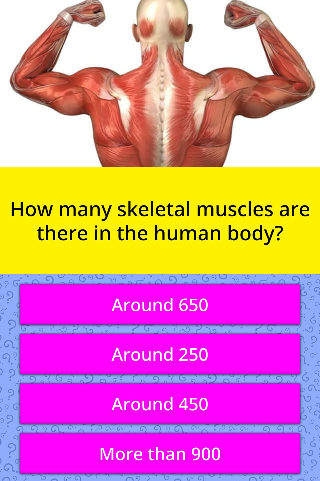 How Many Skeletal Muscles Are There Trivia Questions QuizzClub