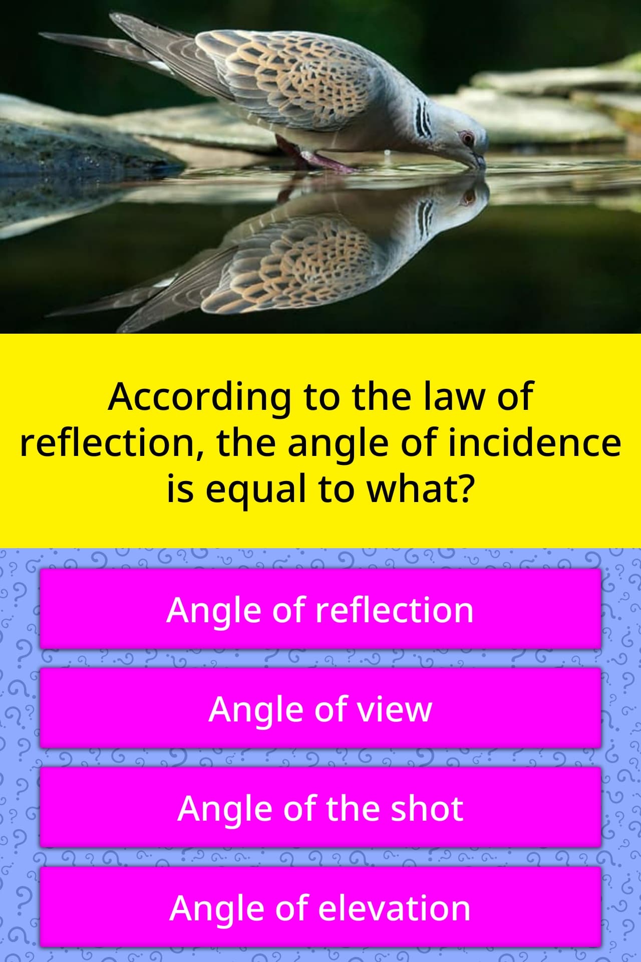 According To The Law Of Reflection Trivia Answers QuizzClub according-to-the-law-of-reflection-trivia-answers-quizzclub