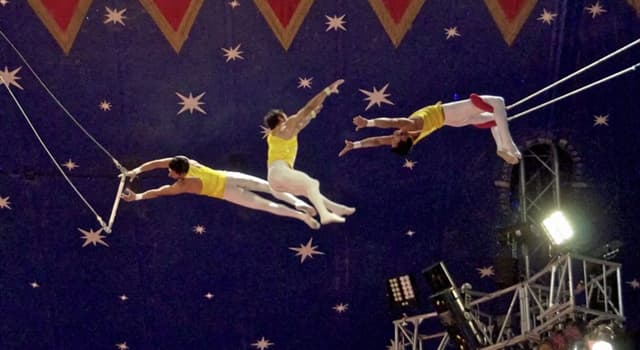 Flying Trapeze Artist