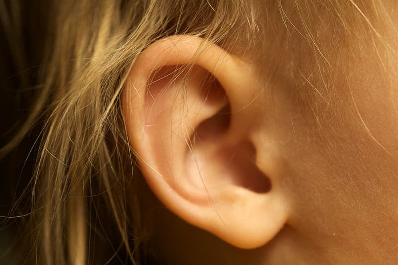 What Is Another Name For Earwax Trivia ions QuizzClub
