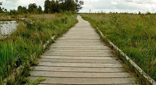 What does the idiom "to be on the... | Trivia Questions | QuizzClub