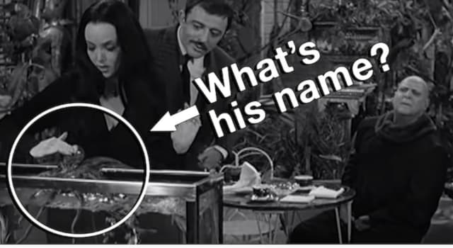 On the 1960s TV show "The Addams... | Trivia Questions | QuizzClub