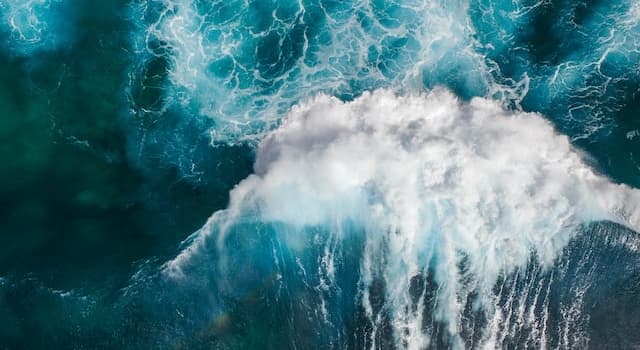 What makes waves in the ocean? | Trivia Questions | QuizzClub