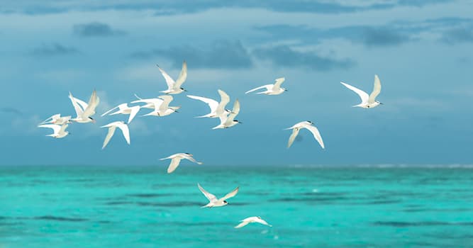 Which of these singers reached... | Trivia Questions | QuizzClub