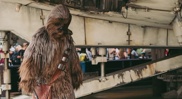 What kind of creature is Chewbacca? | Trivia Questions | QuizzClub