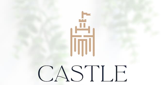 In which year was Castle Brands, the... | Trivia Questions | QuizzClub