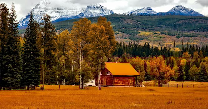 'Bringing It All Back Home' was a... | Trivia Questions | QuizzClub