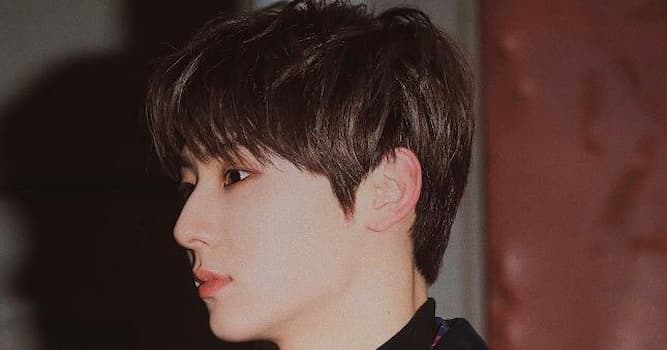 What is the first mini album of the... | Trivia Questions | QuizzClub