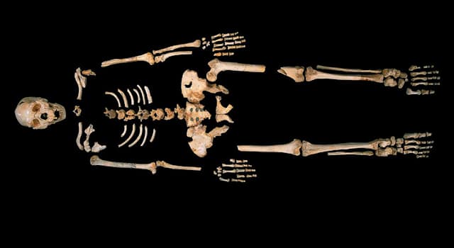 Which of these bones in the human... | Trivia Questions | QuizzClub