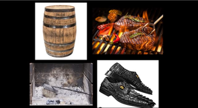 What does an alligator char level... | Trivia Questions | QuizzClub