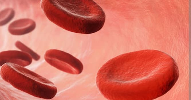 Which protein gives red blood cells... | Trivia Questions | QuizzClub