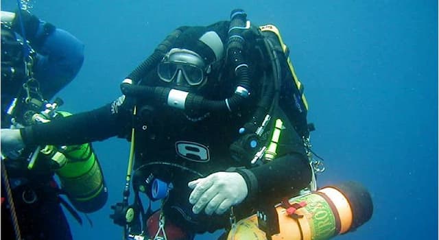 What color is your blood in deep water? | Trivia Questions | QuizzClub