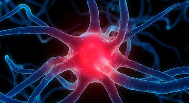 What is the branch of science that... | Trivia Questions | QuizzClub