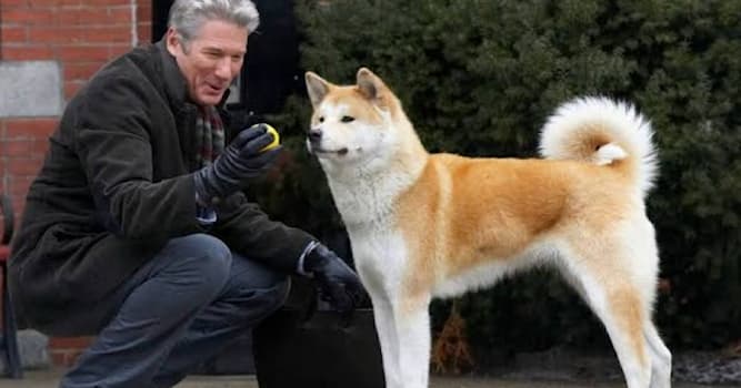 In the movie "Always by Your Side"... | Trivia Questions | QuizzClub