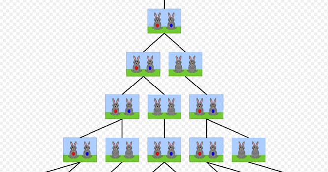 What animals did Fibonacci use as... | Trivia Questions | QuizzClub