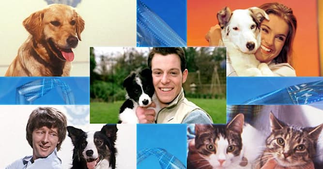 What was the name of the first pet... | Trivia Questions | QuizzClub