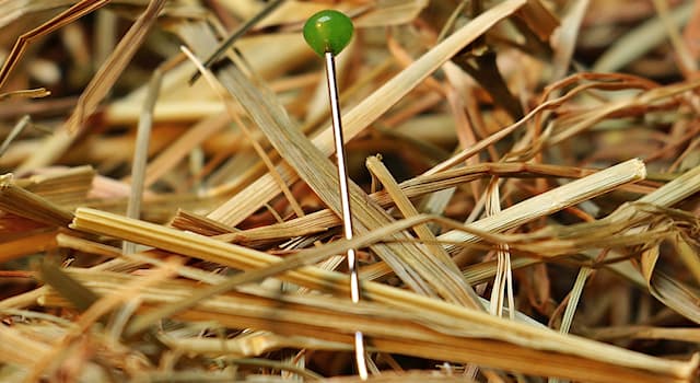 John Spartan, Judge Dredd, Freddy... | Trivia Questions | QuizzClub