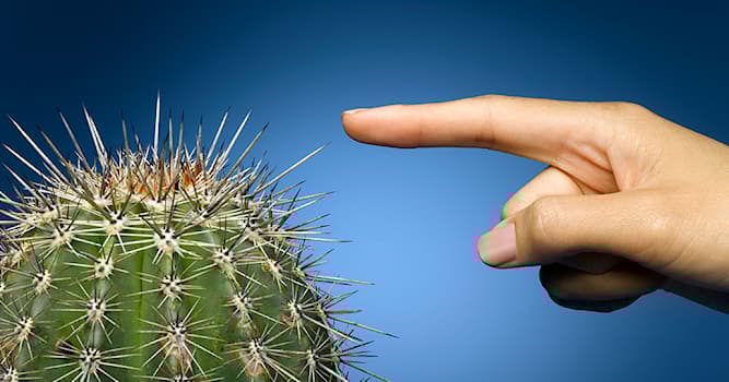 Which of these bands had a US... | Trivia Questions | QuizzClub