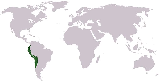 Which empire ruled the highlighted... | Trivia Questions | QuizzClub